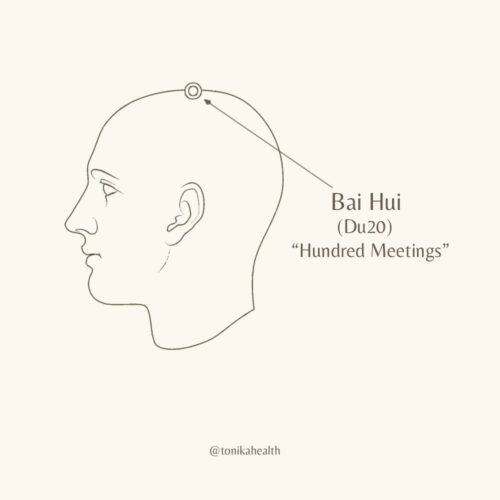 Our Favourite Acupressure/Acupuncture Points - tonika health blog