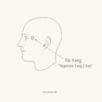 Our Favourite Acupressure/Acupuncture Points - tonika health blog