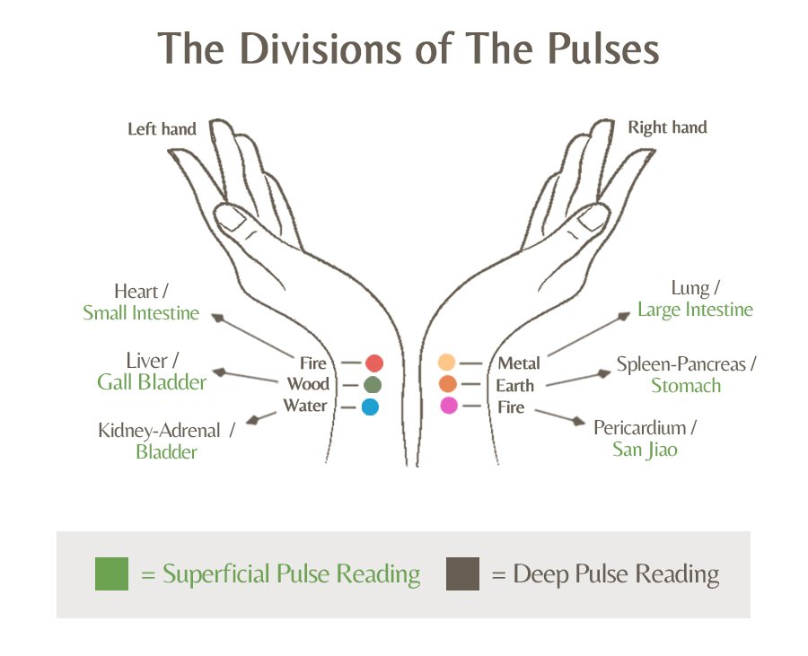 Pulse Diagnosis In Acupuncture Tonika Health Pulse Diagnosis In Acupuncture Tonika Health