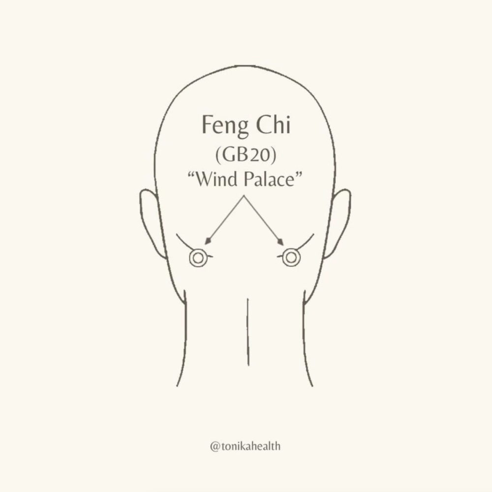 Our Favourite Acupressure/Acupuncture Points - tonika health blog