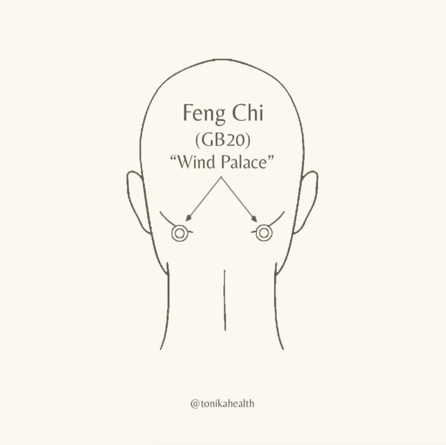 Our Favourite Acupressure/Acupuncture Points - tonika health blog